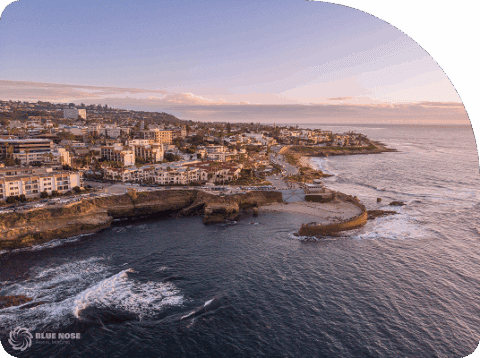 Blue Nose Aerial Imaging | Drone Service Provider